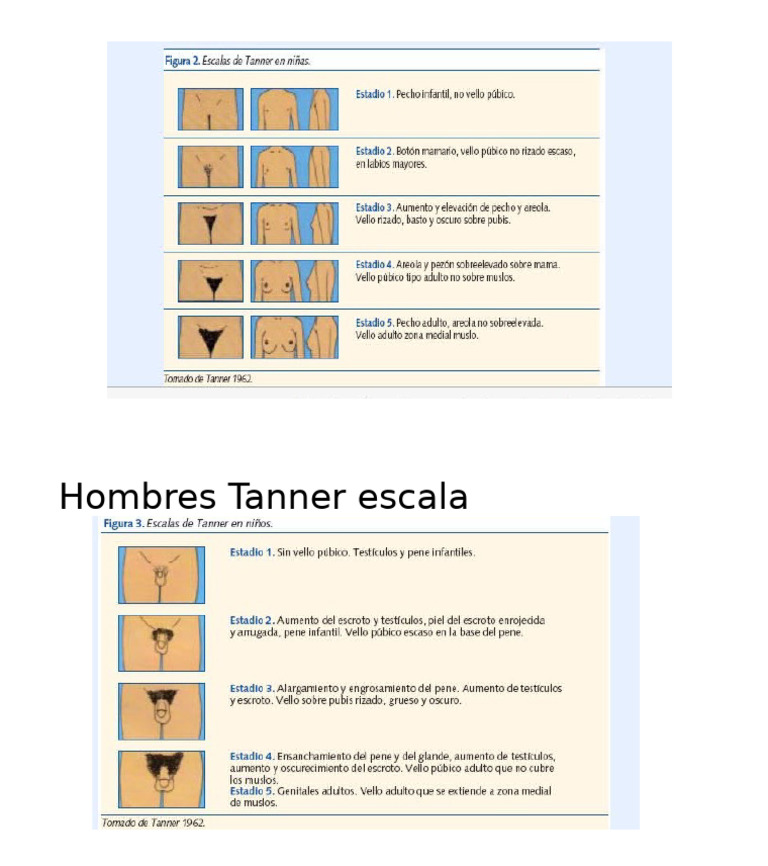Scala de Tanner Niños y Niñas | PDF
