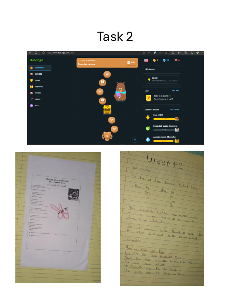 Task 2 | PDF