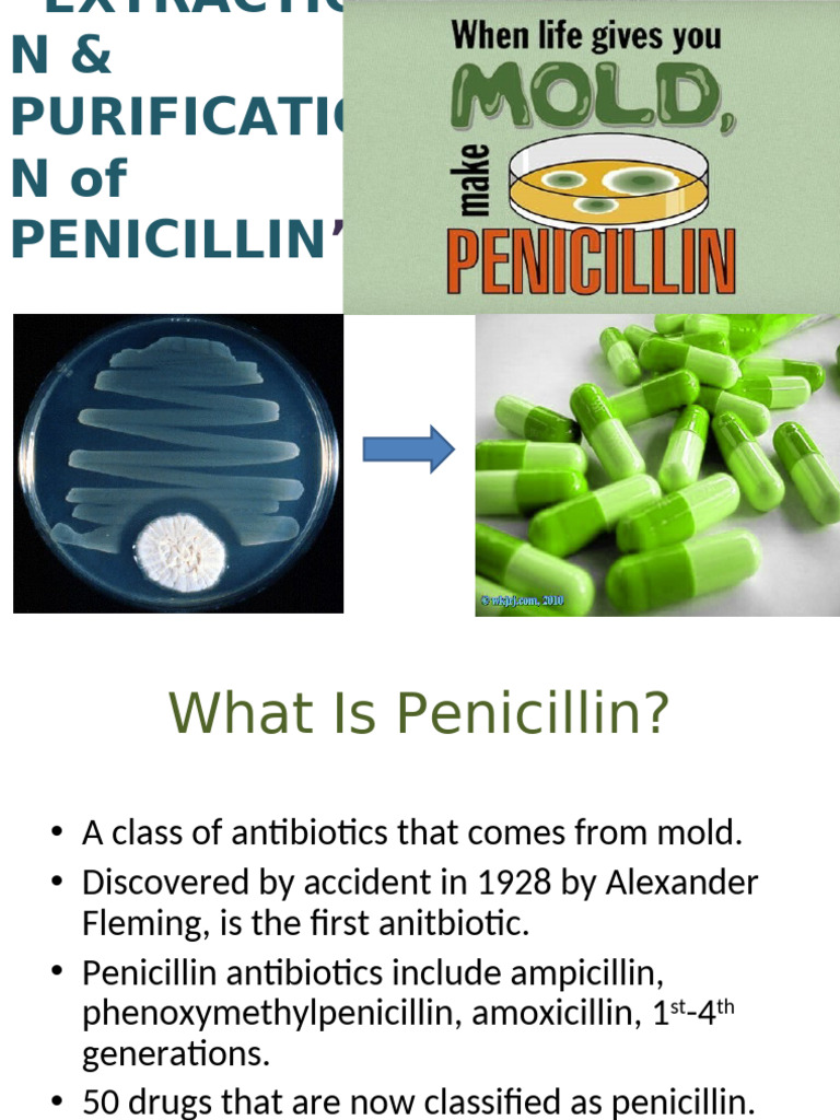 Penicillin Fermentation | PDF | Penicillin | Filtration