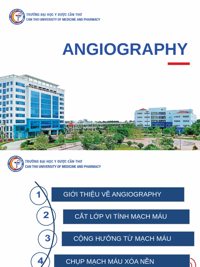 Angiography | PDF