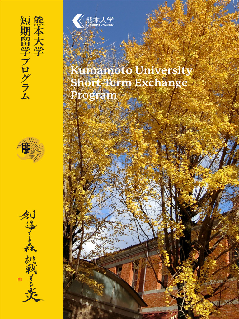 Step Brochure | PDF