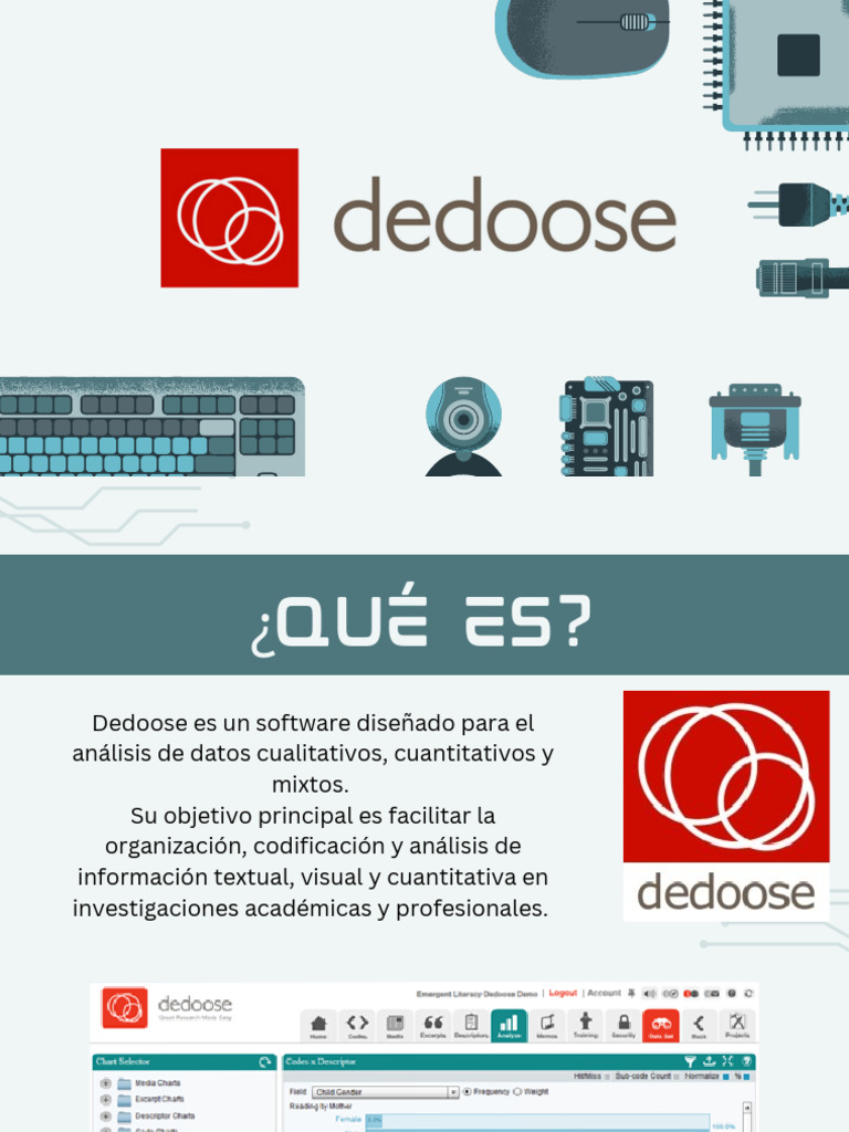 Dedoose | PDF | Análisis de los datos | Datos