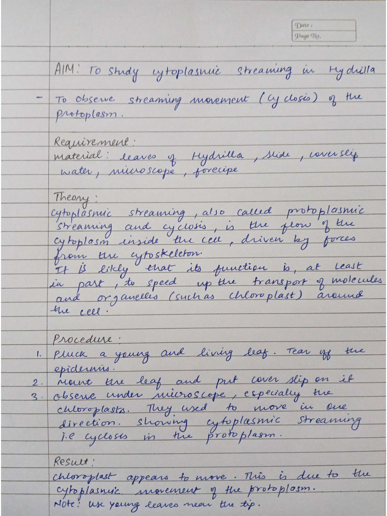 Botany Practical 3rd Sem | PDF