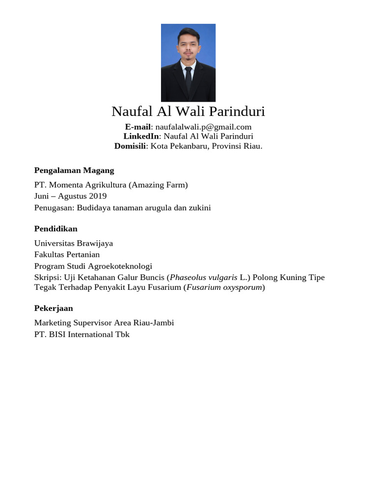CV Naufal | PDF