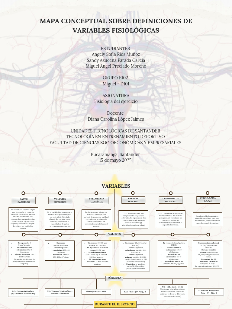 Mapa Conceptual Fisio. 1T, 3C. | PDF | Corazón | Sistema circulatorio
