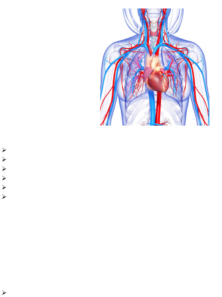 Overview of Human Circulatory System | PDF | Heart Valve | Atrium (Heart)