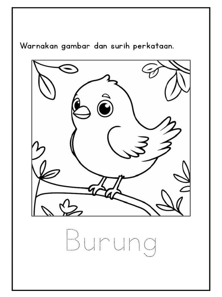 Colour Burung | PDF