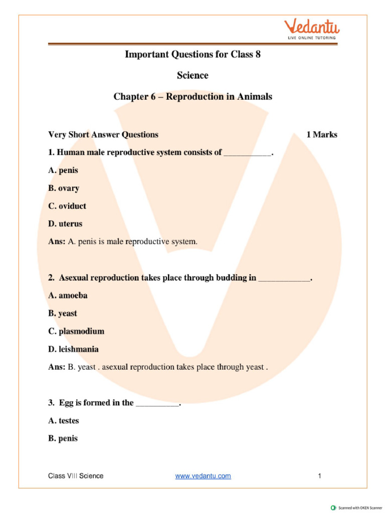 Important Questions Class 8 Science Chapter 6 | PDF