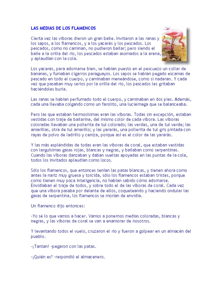Las Medias de Los Flamencos | PDF