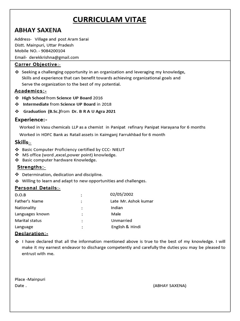 Abhay CV | PDF