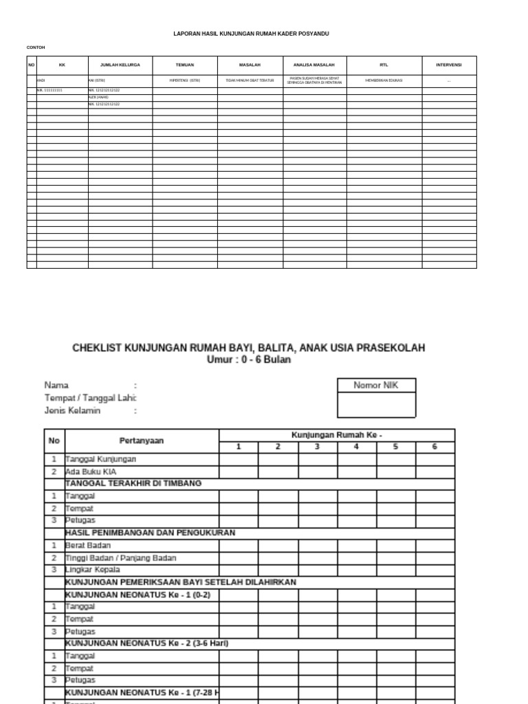 Laporan Hasil Kunjungan Kader Posyandu | PDF