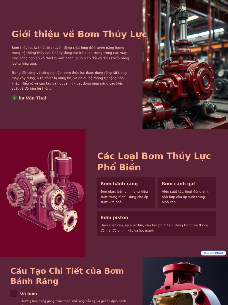 Gioi Thieu Ve Bom Thuy Luc | PDF