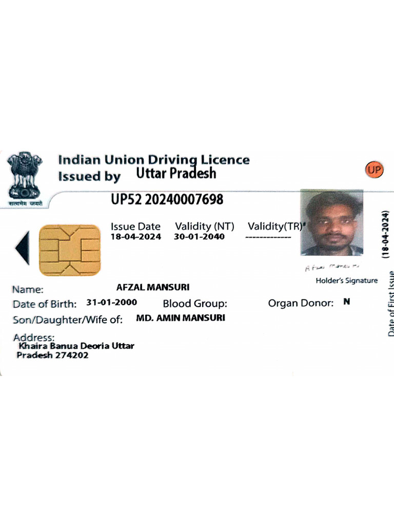 Driving License | PDF