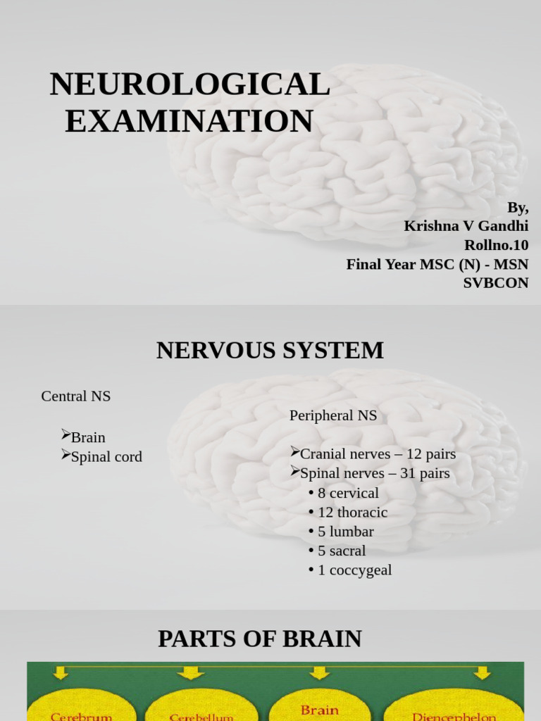 Neurological Examination | PDF | Cerebrum | Coma