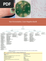 Evacuated Tube Drawing Guidelines | PDF | Intravenous Therapy | Blood ...