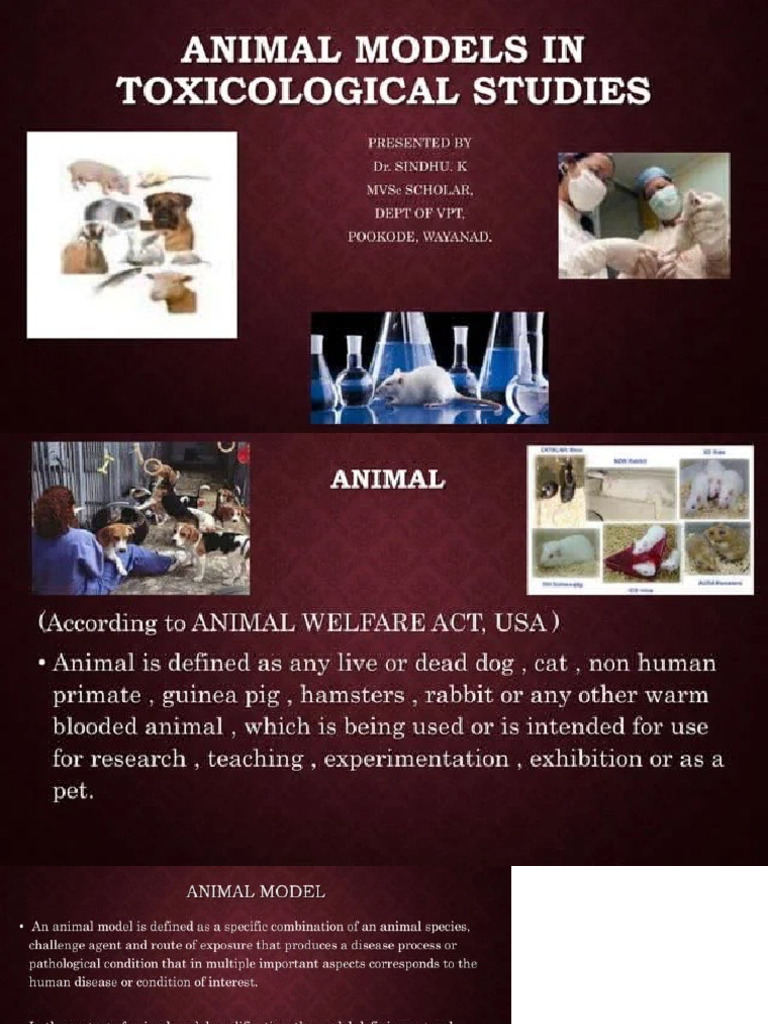 Toxicity Testing in Laboratory Animald | PDF