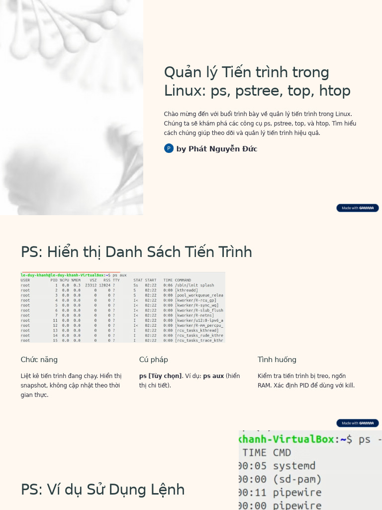 Quan Ly Tien Trinh Trong Linux Ps Pstree Top Htop | PDF