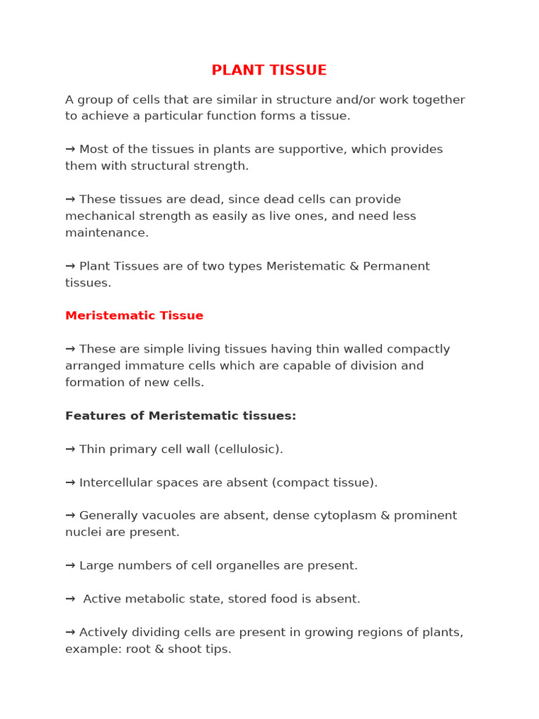 Overview of Plant Tissue Types | PDF | Tissue (Biology) | Epithelium