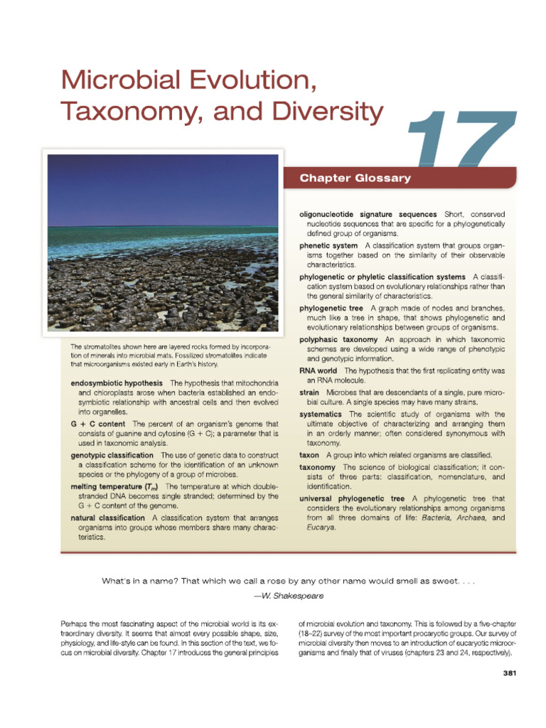 Presscott Chap 17 Notes | PDF