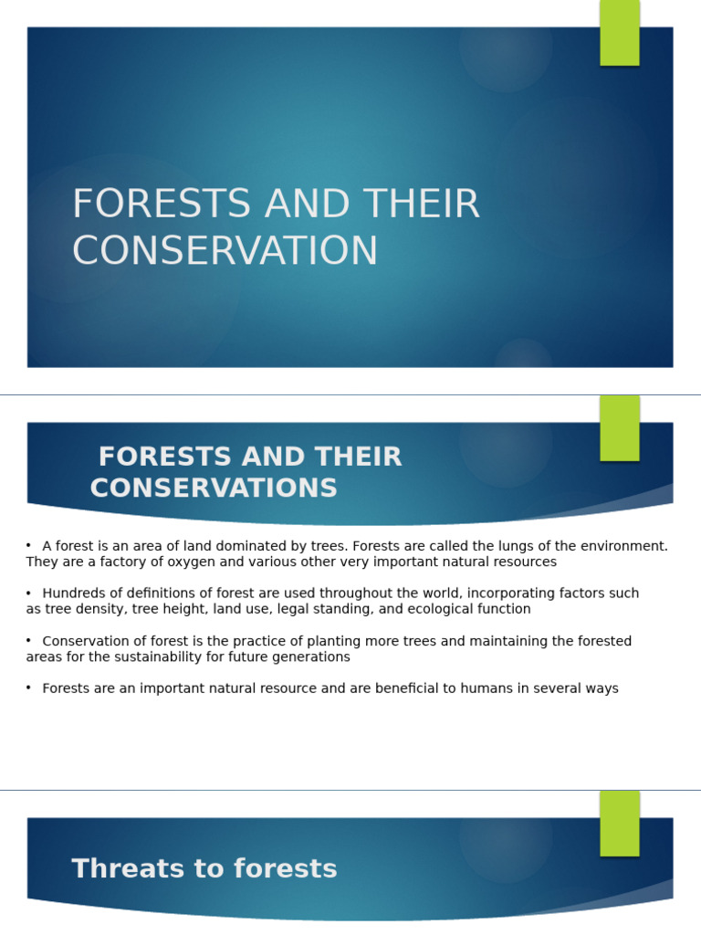Forests and Their Conservation | PDF | Forests | Deforestation