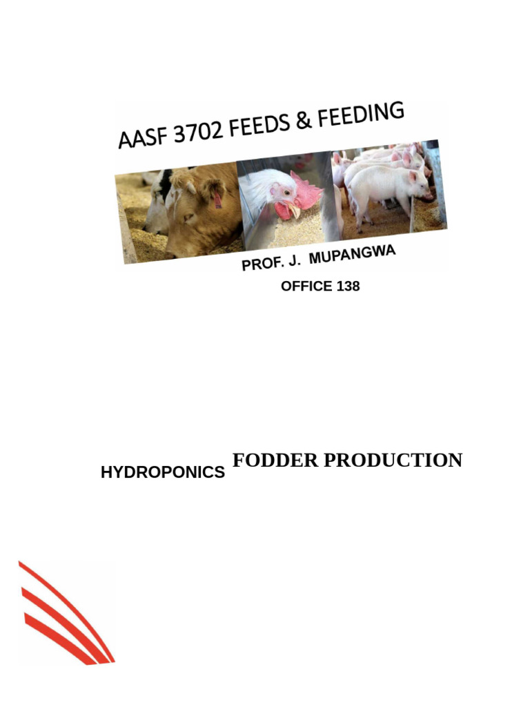 Hydroponic Fodder Production 2023 | PDF | Fodder | Cereals