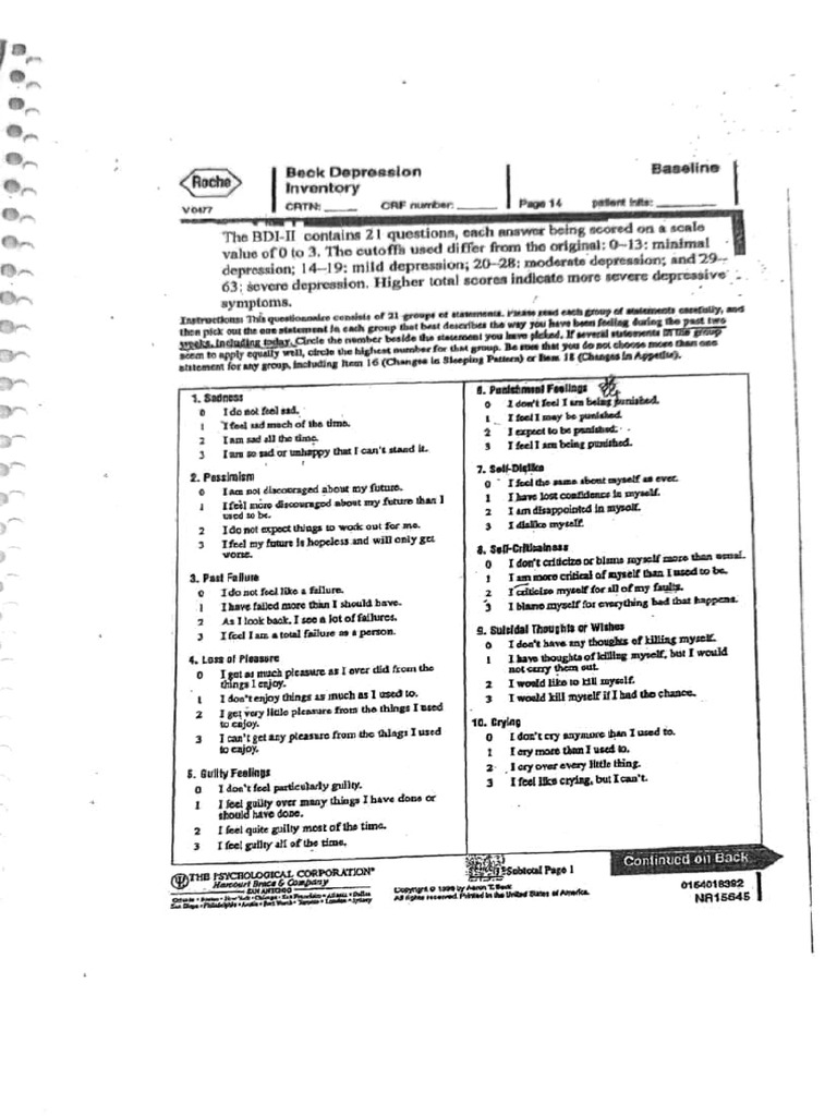 BDI Assessment | PDF