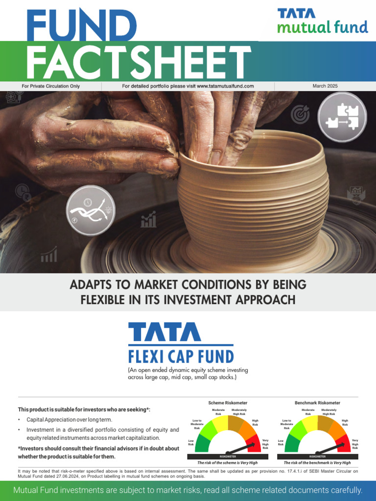 Tata Small Cap Fund Factsheet March 2025 | PDF | Investment Fund ...