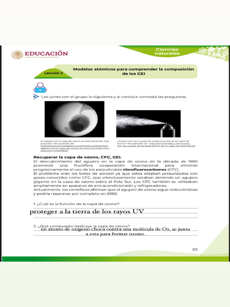 Lección 3 Ciencias Naturales | PDF