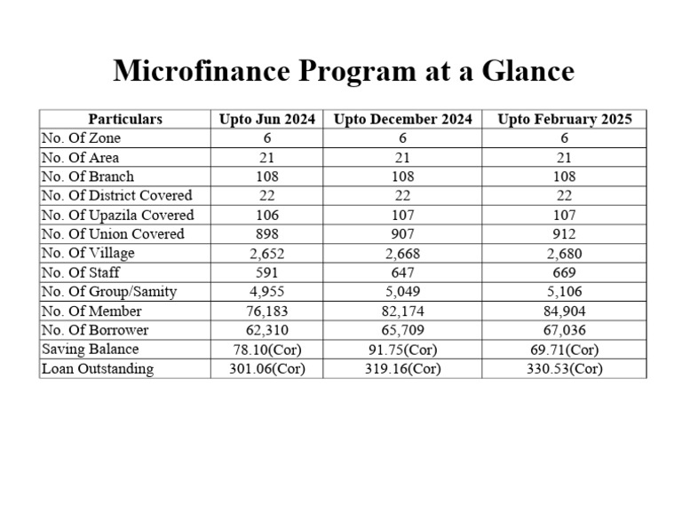 Microfinance Program at a Glance | PDF