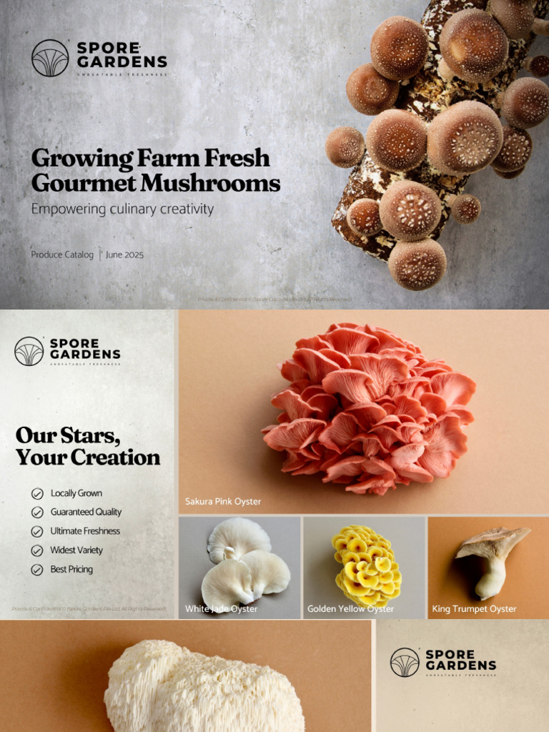 Spore Gardens Fresh Produce Catalogue 202505 | PDF
