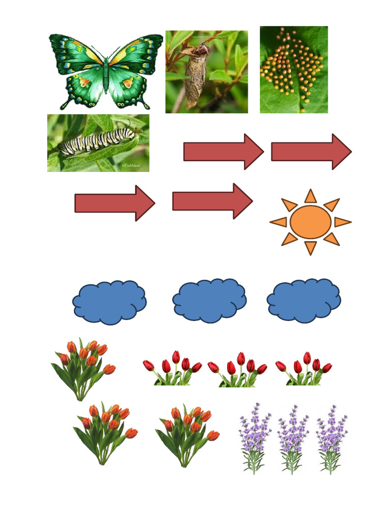 Kitaran Hidup Rama2 | PDF