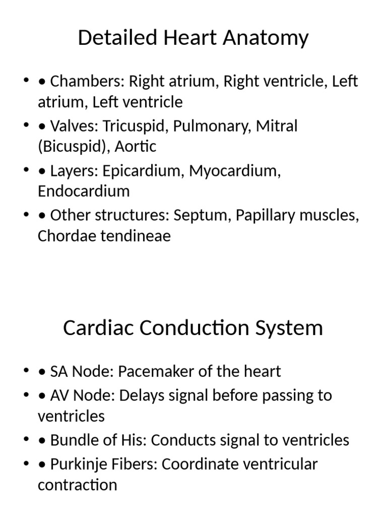 Physiology of Heart Detailed Edition | PDF