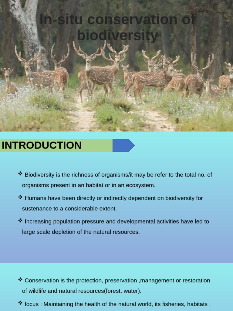 In-Situ Conservation of Biodiversity | PDF | Conservation Biology ...