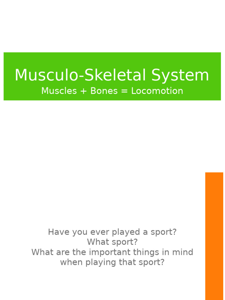 G7 Bones and Muscles | PDF | Skeletal Muscle | Anatomical Terms Of Motion