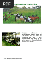 Breeds of Goats | PDF
