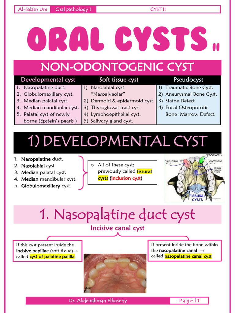 Overview of Non-Odontogenic Oral Cysts | PDF | Epithelium | Skin