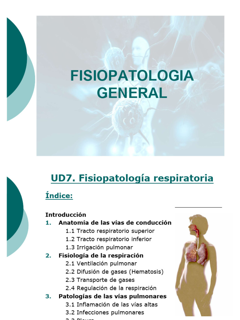UD7. Aparato Respiratorio 2025 | PDF | Pulmón | Respiración