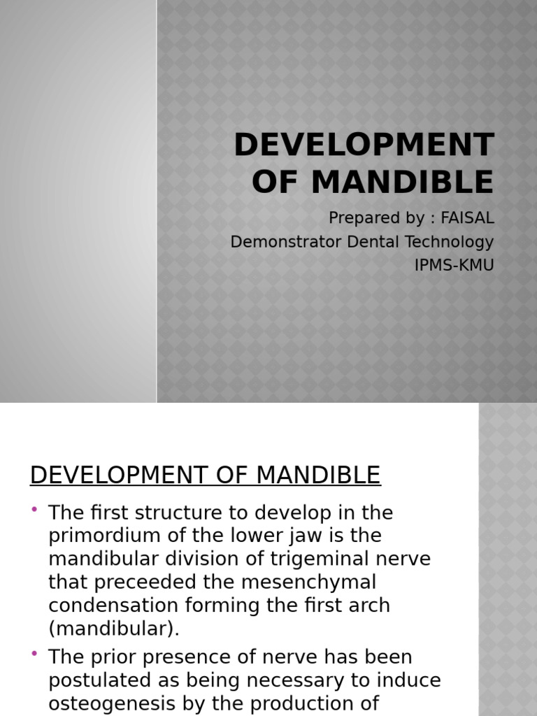 3 Development of Mandible 1 1 | PDF | Skeletal System | Musculoskeletal ...