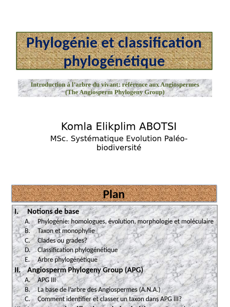 CHAP1 - Phylogénie Et Classification Phylogénétique | PDF | Phylogenèse ...