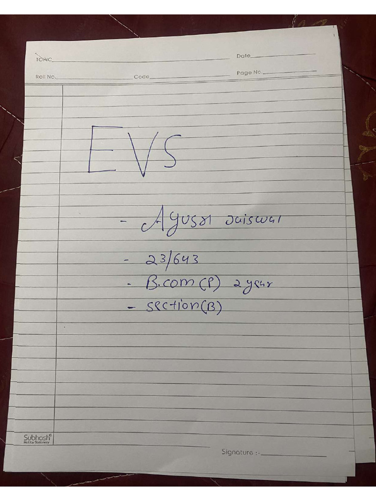 Evs | PDF