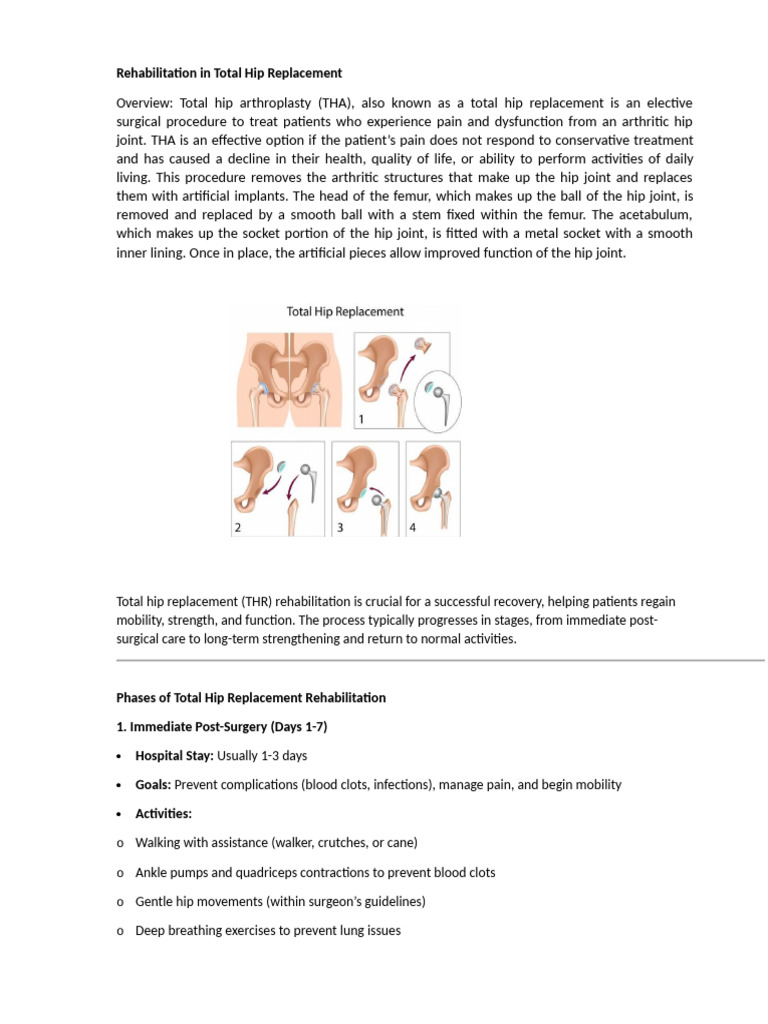 Total Hip Replacement | PDF | Anatomical Terms Of Motion | Hip