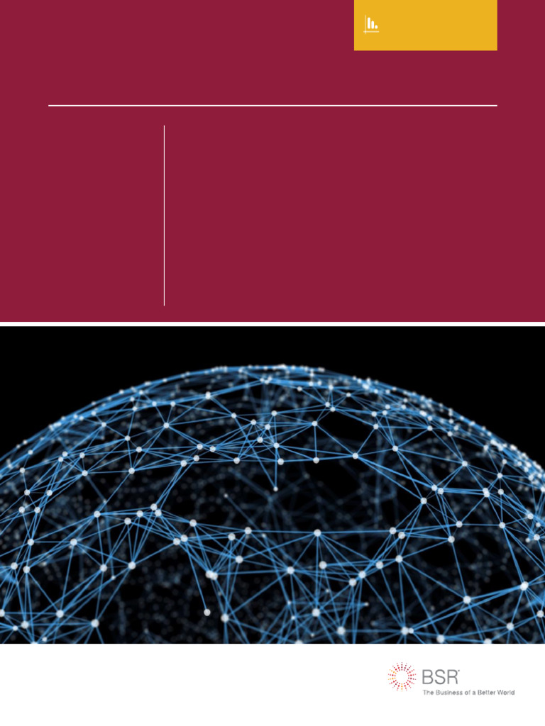 BSR Future of Stakeholder Engagement Report | PDF | Population Ageing ...