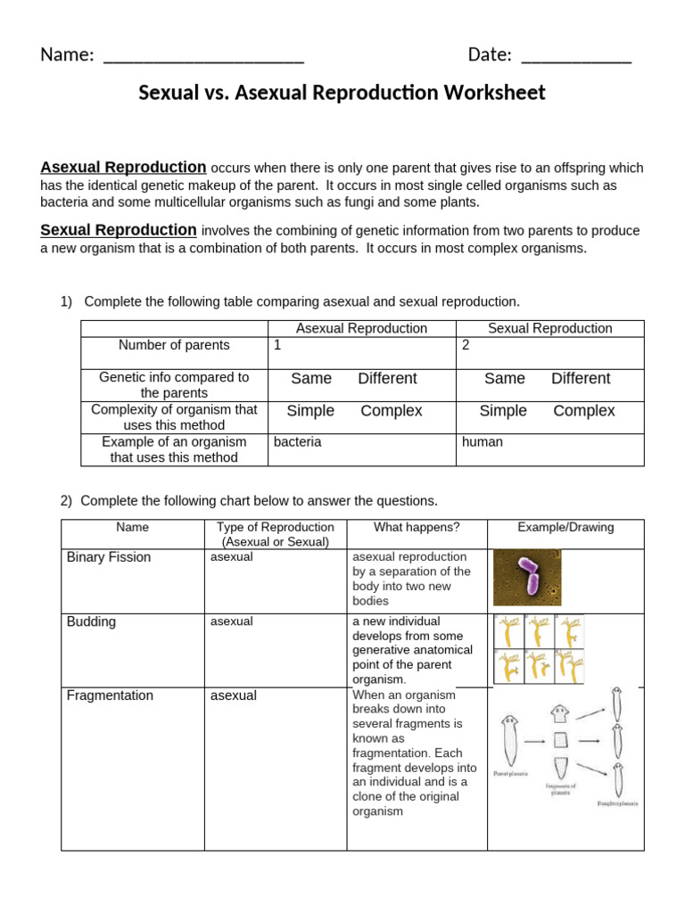 Homework - Sexual and Asexual Reproduction | PDF | Sexual Reproduction ...
