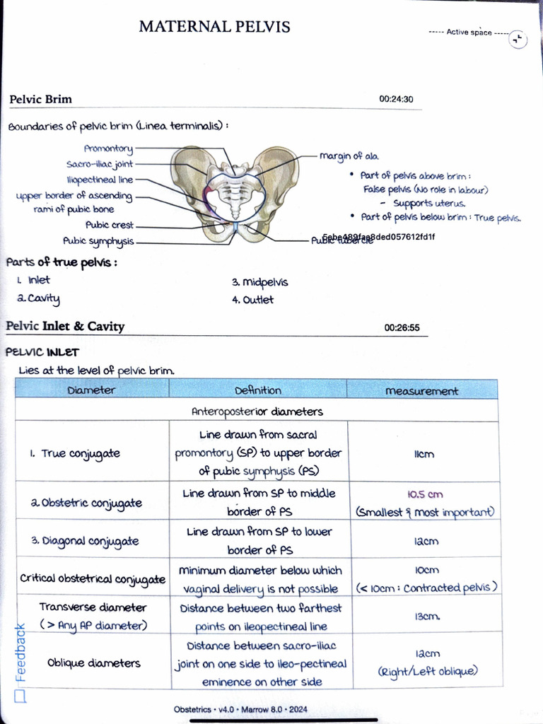 Maternal Pelvis Anatomy Overview | PDF | Pelvis | Musculoskeletal System