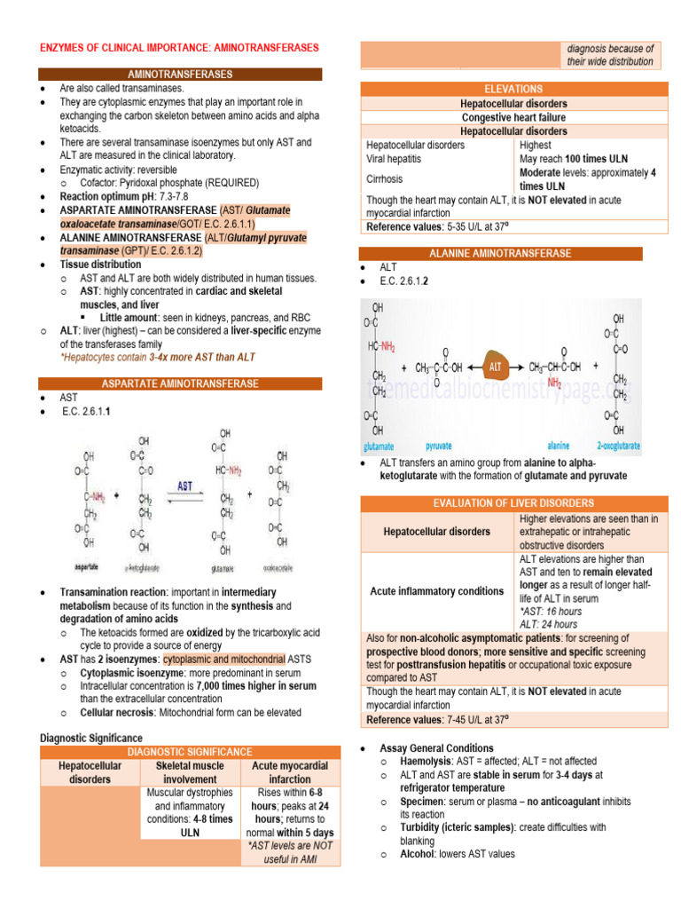 Clinical Importance of Aminotransferases | PDF | Alanine Transaminase ...