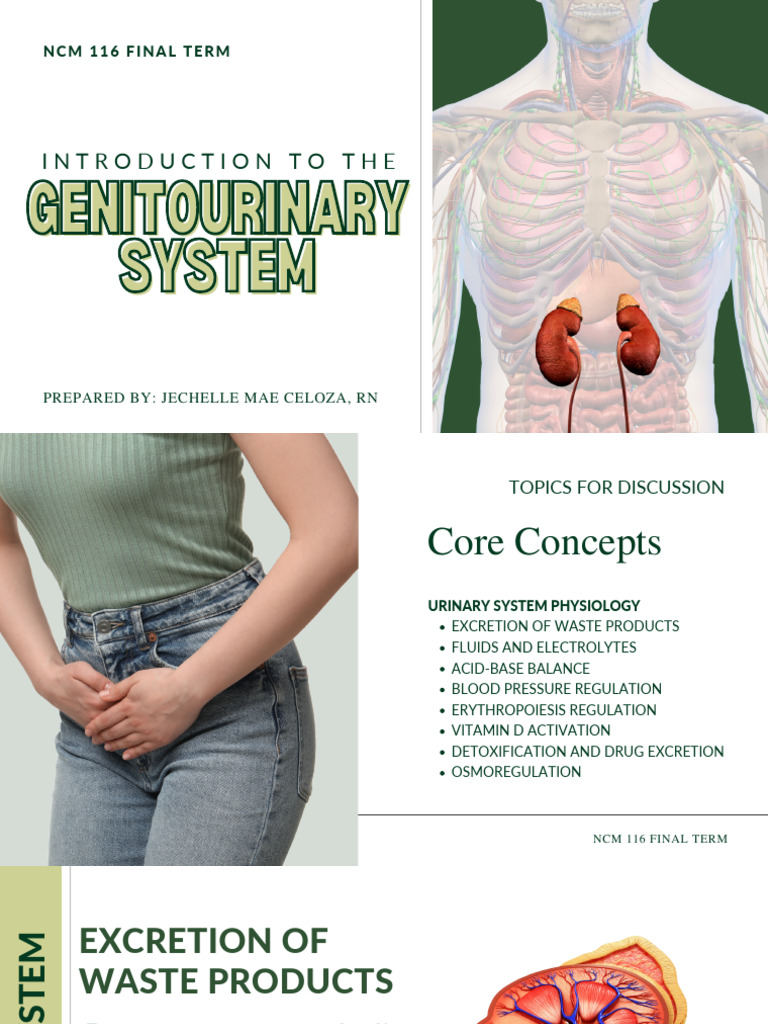 302 Week 12 Introduction To Genitourinary System PDF | PDF | Saline (Medicine) | Bicarbonate