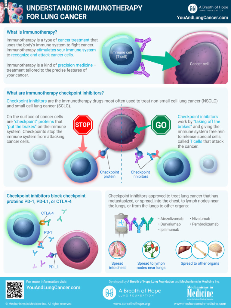 Understanding Immunotherapy Infographic | PDF