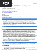 Nano Glo Hibit Lytic Detection System Technical Manual | PDF | Proteins ...