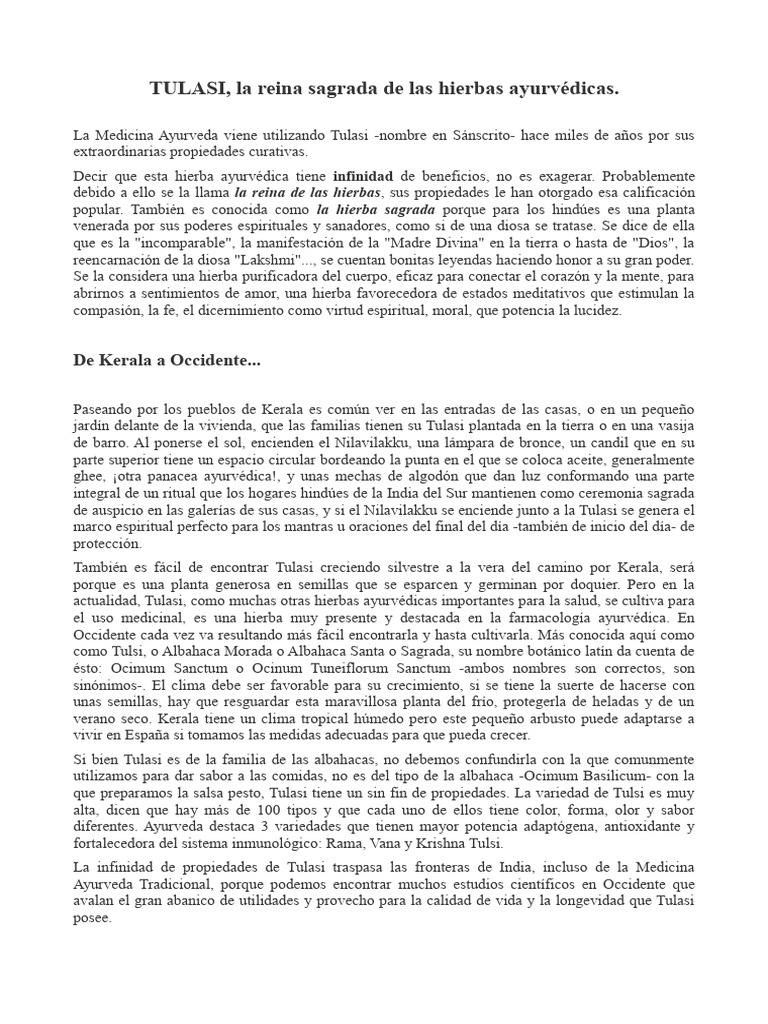 TULASI La Reina Sagrada de Las Hierbas Ayurvédicas | PDF | Albahaca