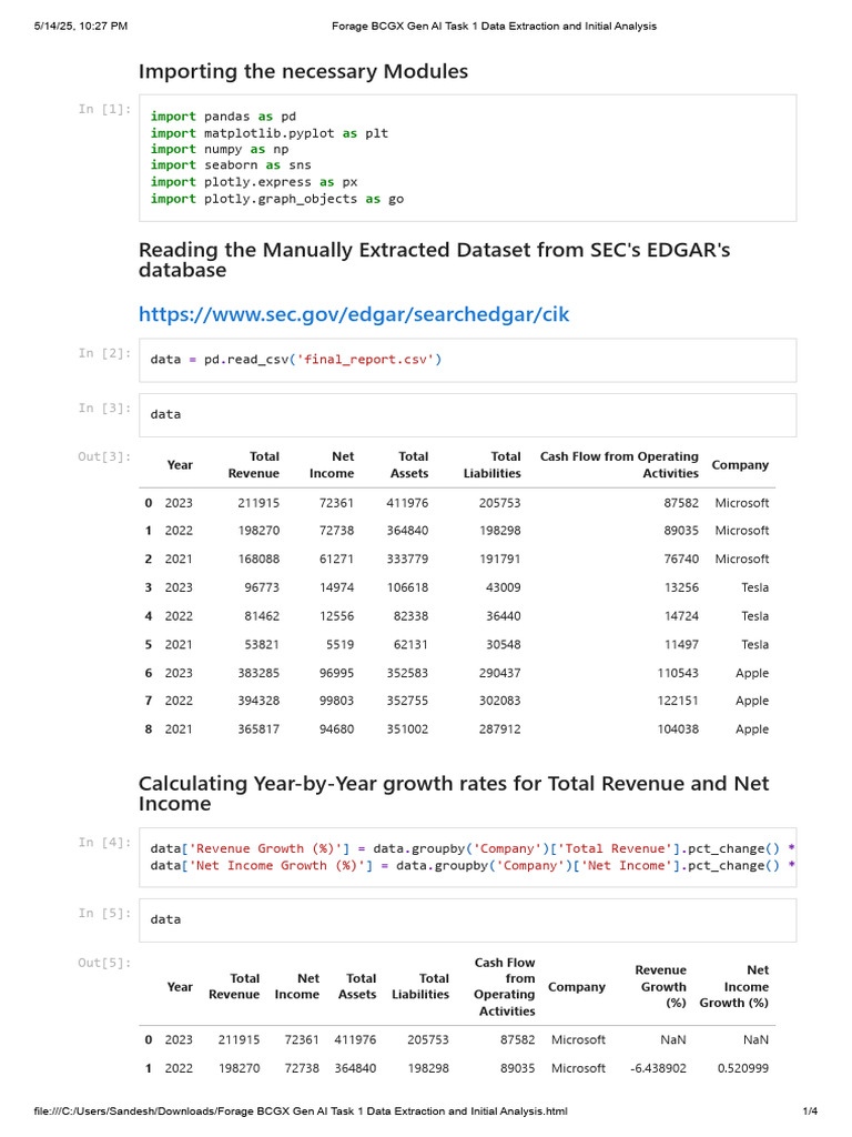 Forage BCGX Gen AI Task 1 Data Extraction and Initial Analysis | PDF | Revenue | Income